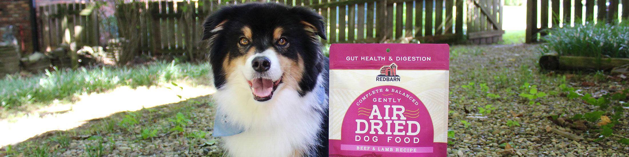Gut Health & Digestion Air Dried Dog Food